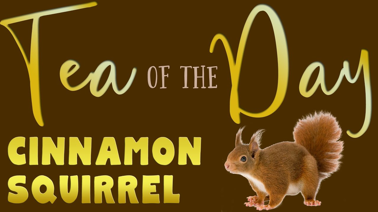 Tea of the Day #93 - CINNAMON SQUIRREL - YouTube