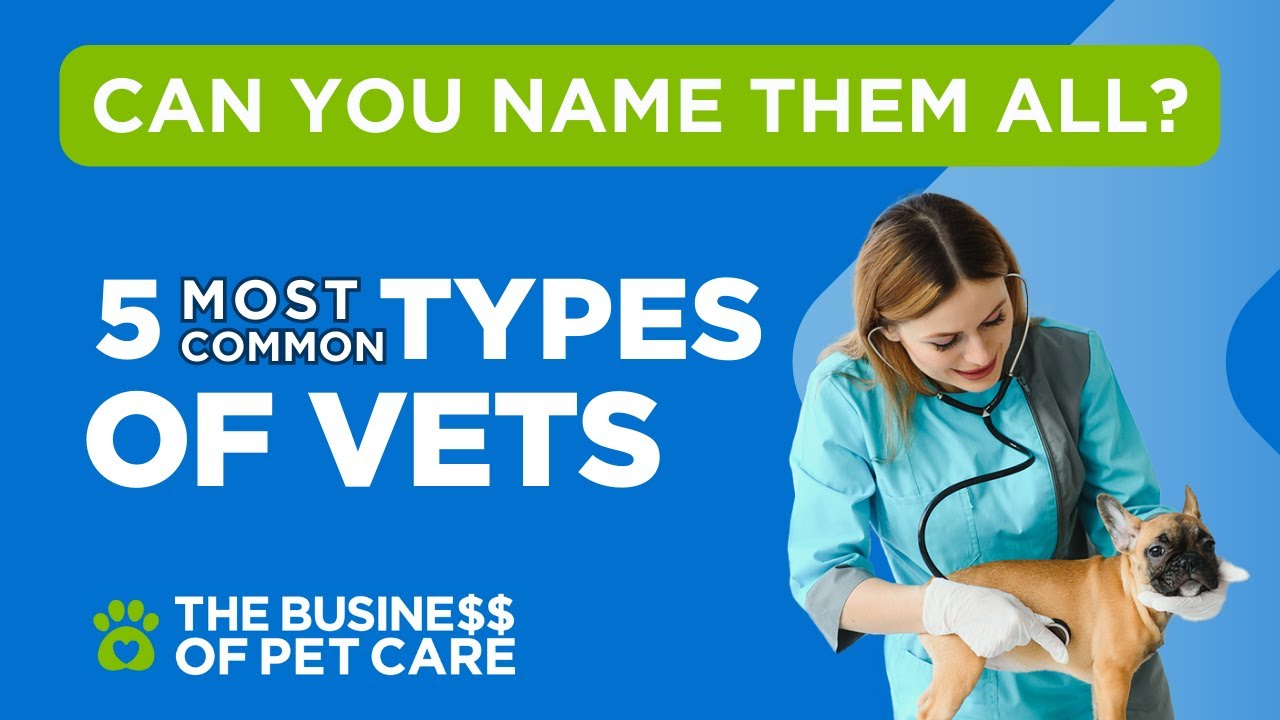 5 most common types of vets - YouTube