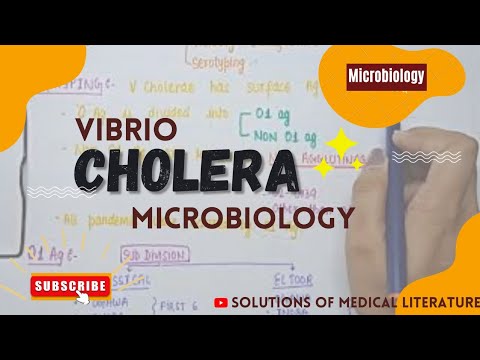Vibrio Cholera - Pathogenesis , signs & symptoms , diagnosis ...