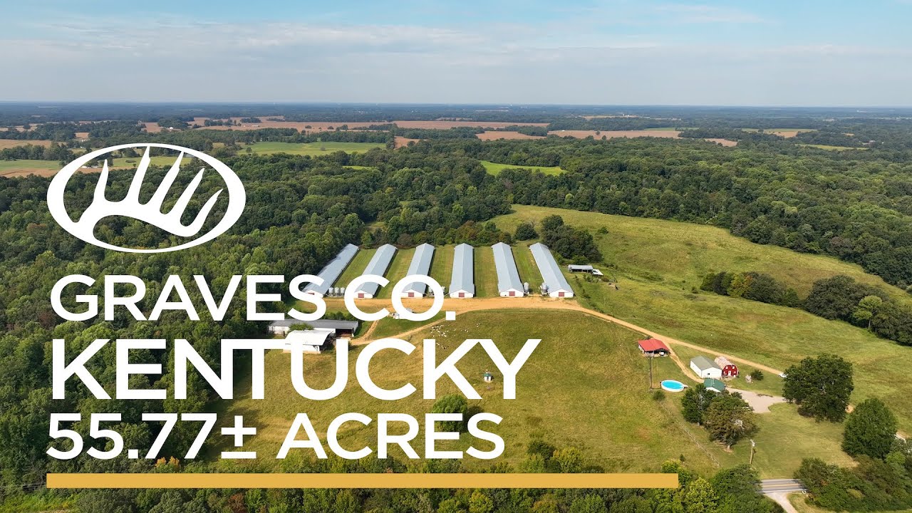Graves County, KY 55.77± Acres - YouTube