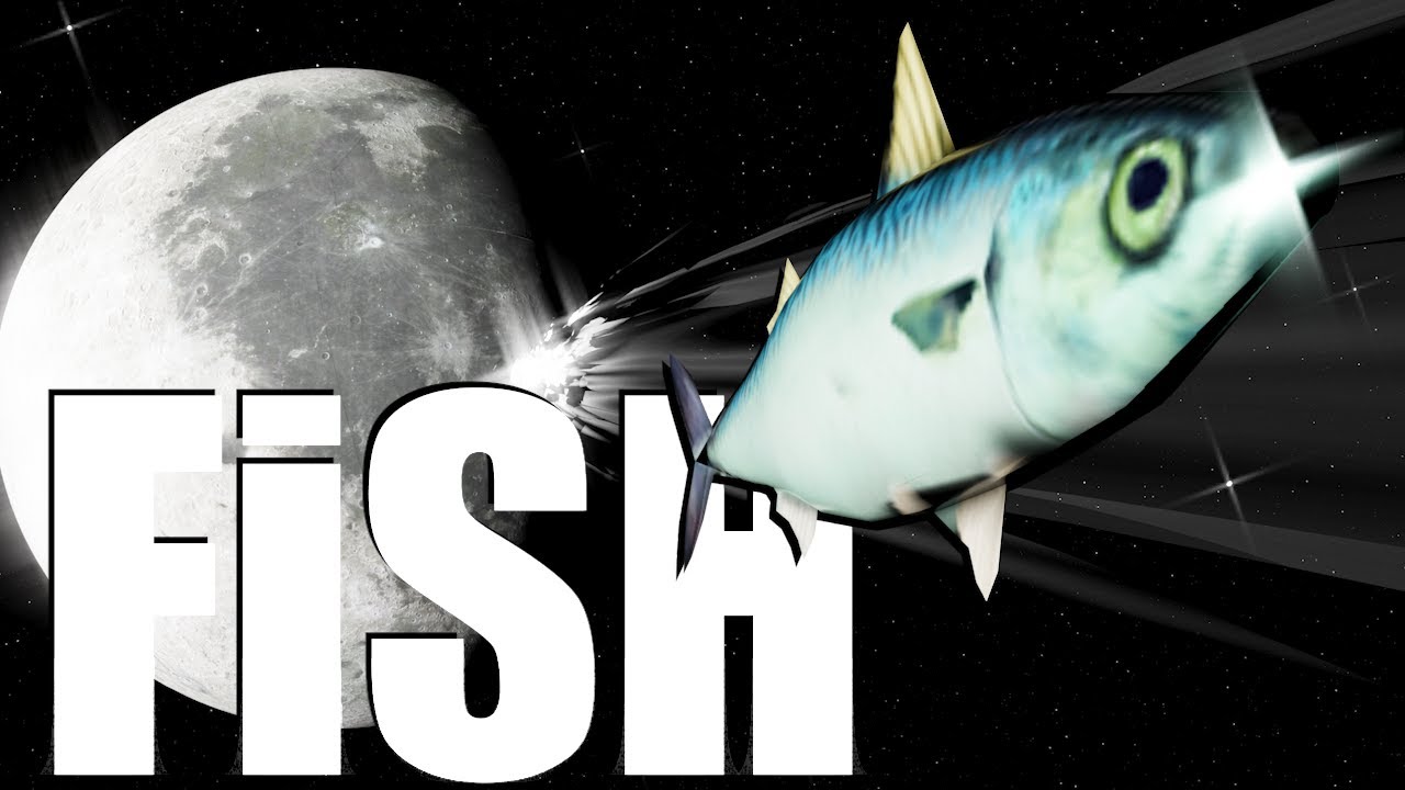 AM I JUST A FISH? | Animation - YouTube