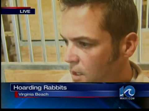 Rabbits taken from VB home - YouTube