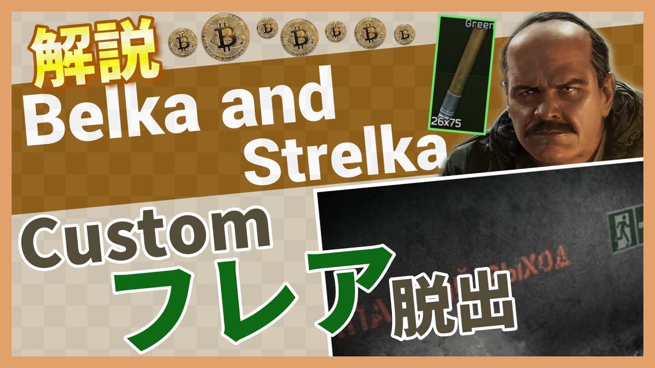 【タルコフ解説】Belka and Strelka Custom【Tarkov】【ずんだもん】【タルコフ】【PVE】 - YouTube