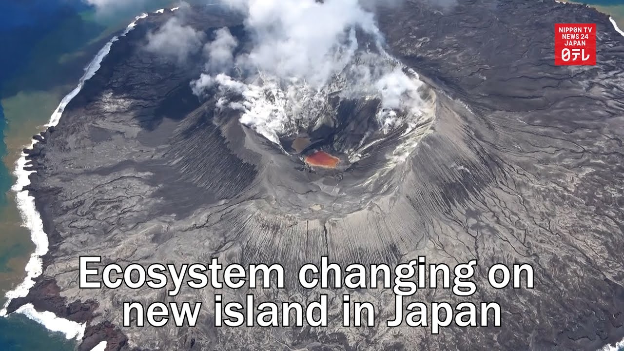 Ecosystem changing on new island in Japan - YouTube