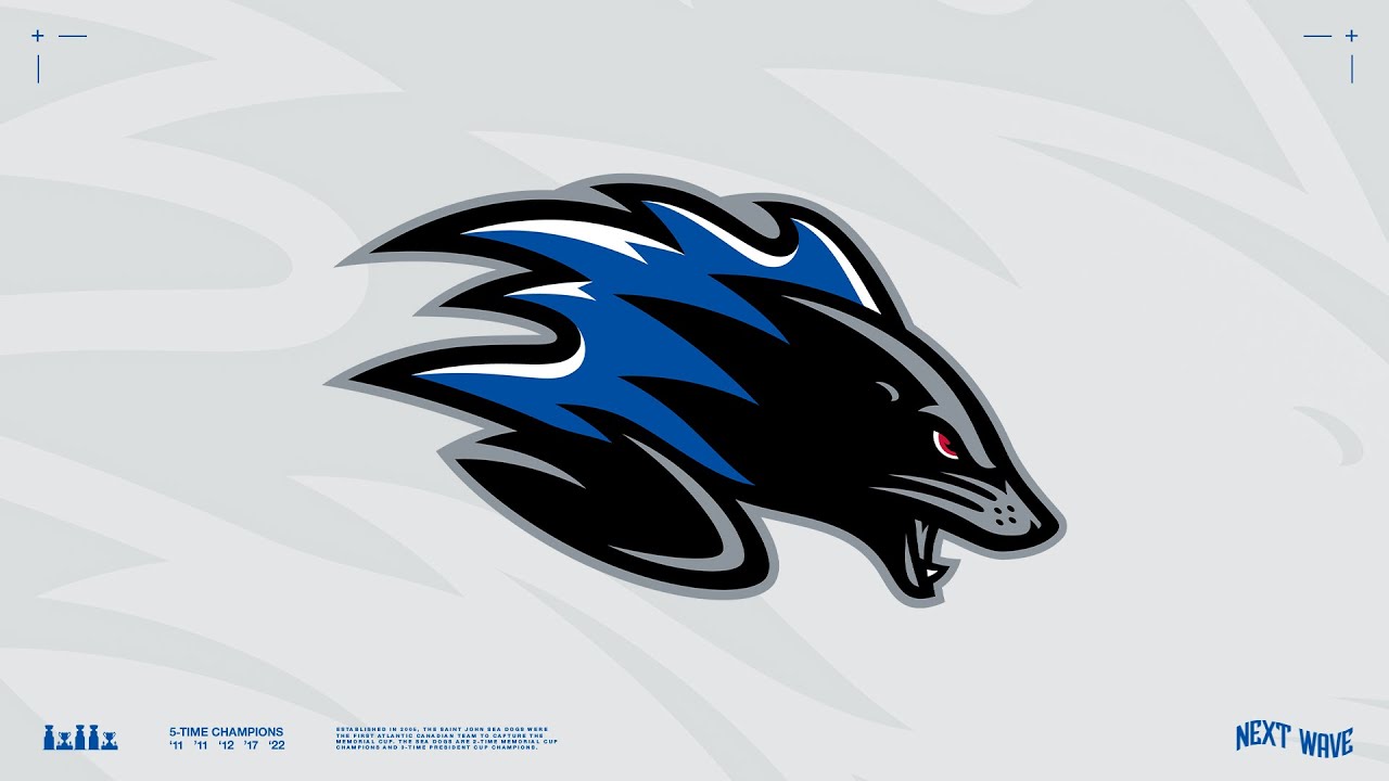 The #NextWave of Sea Dogs Hockey — Brand Reveal - YouTube