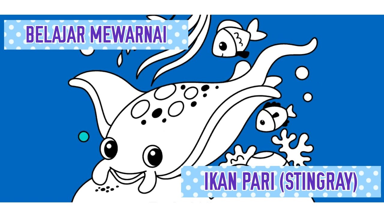YUK BELAJAR MEWARNAI IKAN PARI DENGAN MUDAH | BELAJAR MEWARNAI UNTUK ...