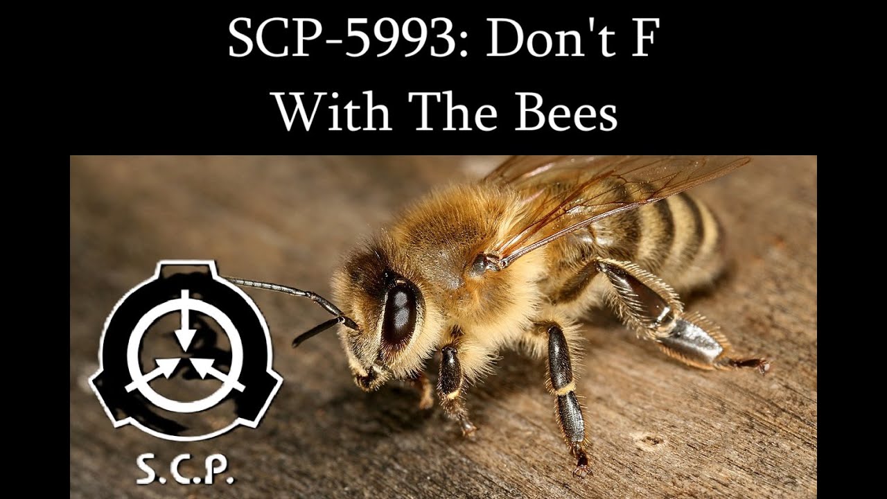 SCP-5993: DON'T F WITH THE BEES | Thaumiel - YouTube