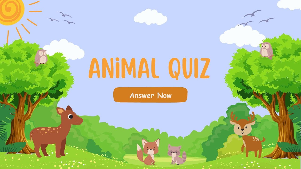 Fun Animal Quiz for Kids 3-6 - YouTube