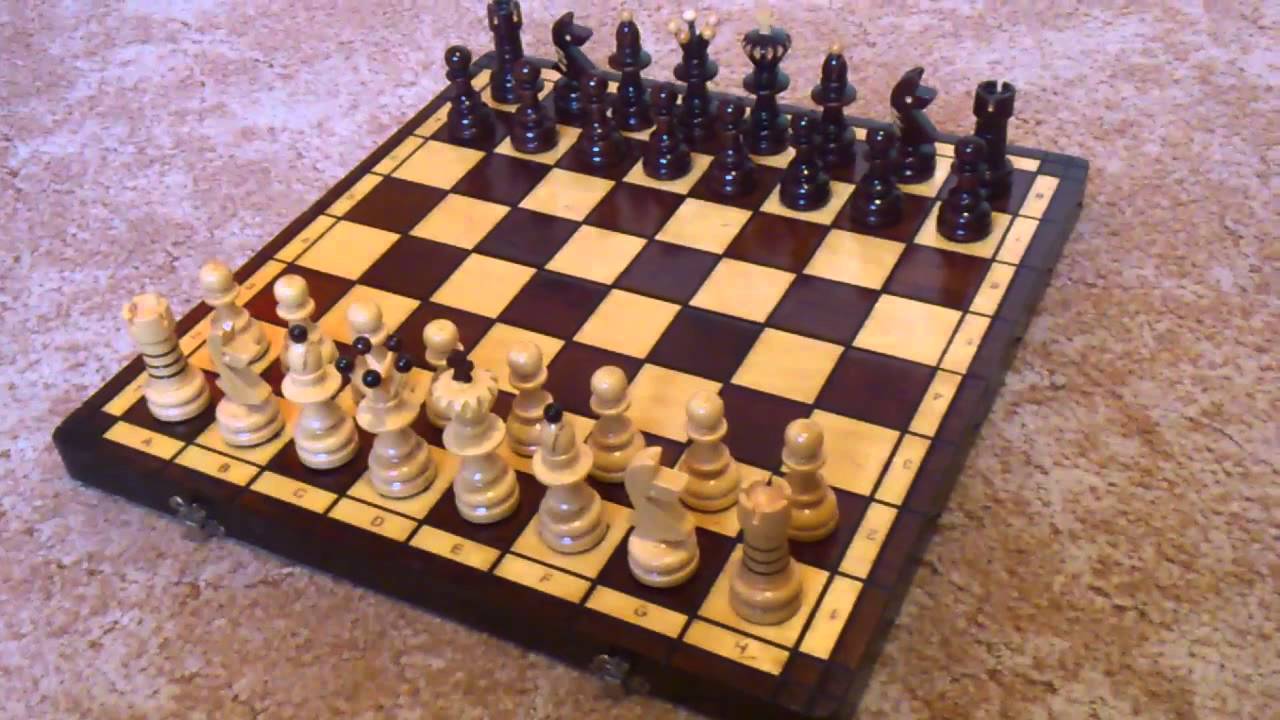 Jak hrát šachy 1 - úvod - YouTube