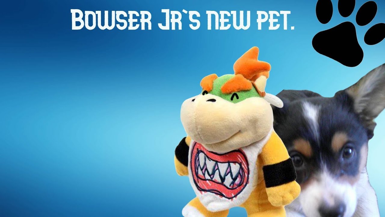 Bowser Jr's new pet! - YouTube