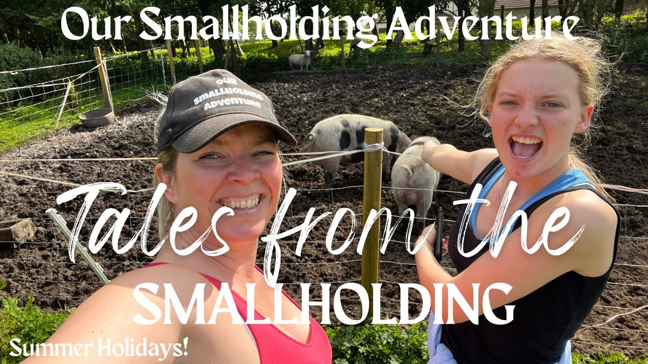 A Productive Day on the Smallholding VLOG - YouTube
