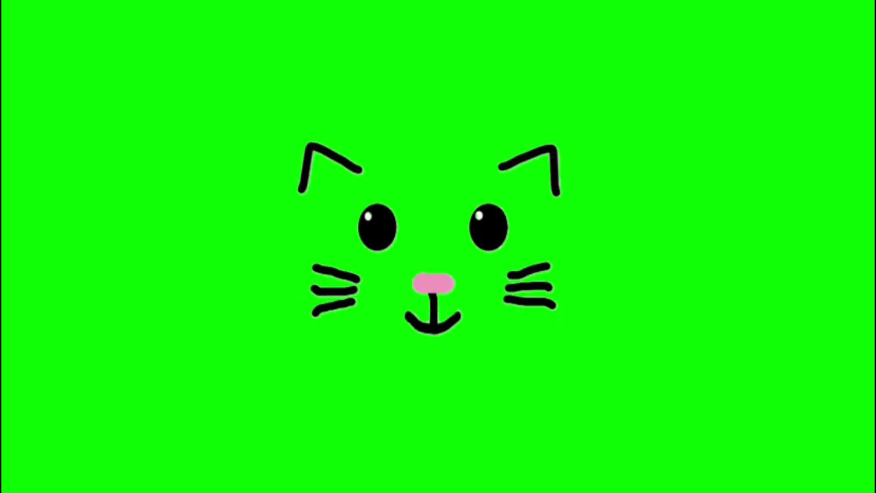 ️GREEN SCREEN EFFECTS: cat face - YouTube