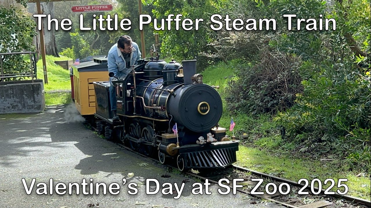 Little Puffer Steam Train at San Francisco Zoo Full Ride on Valentine’s ...
