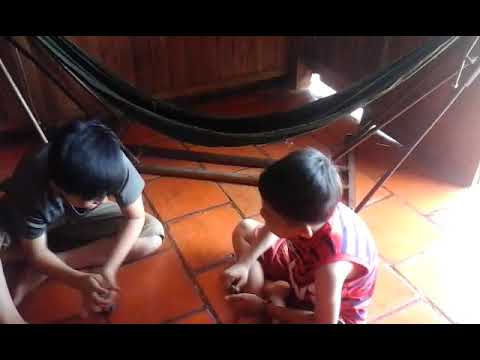 Trau tre nan dat set - YouTube