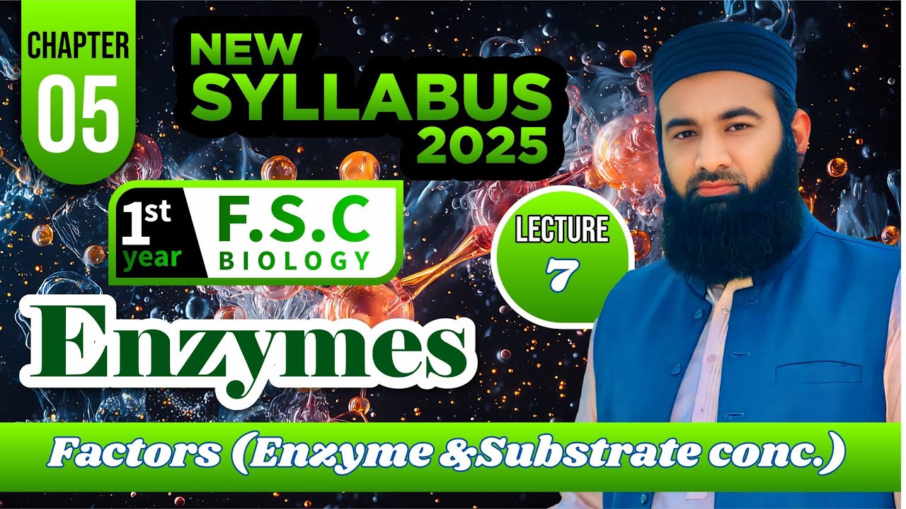 Factors (Enzyme & Substrate conc.) | Enzymes | Chapter 5: F.Sc. 1st Year Biology | Lec# 7 - YouTube