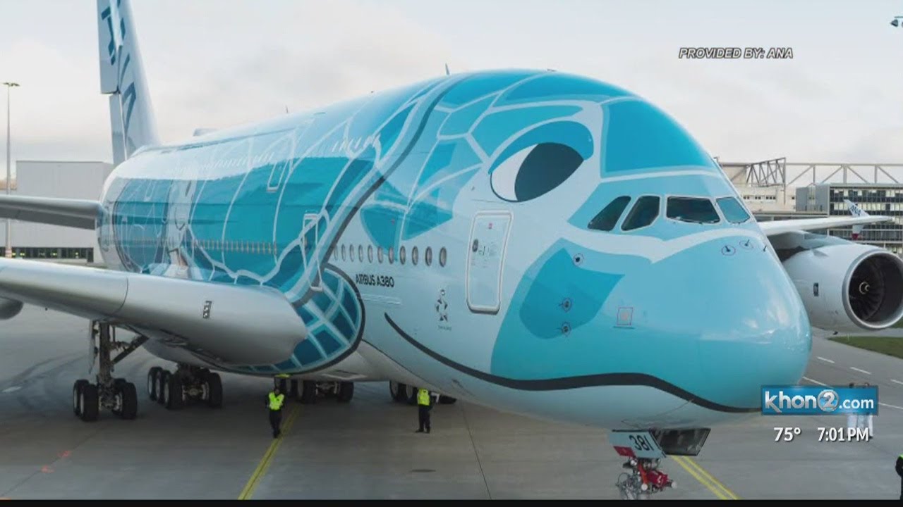ANA unveils planes with Hawaiian green sea turtle designs - YouTube