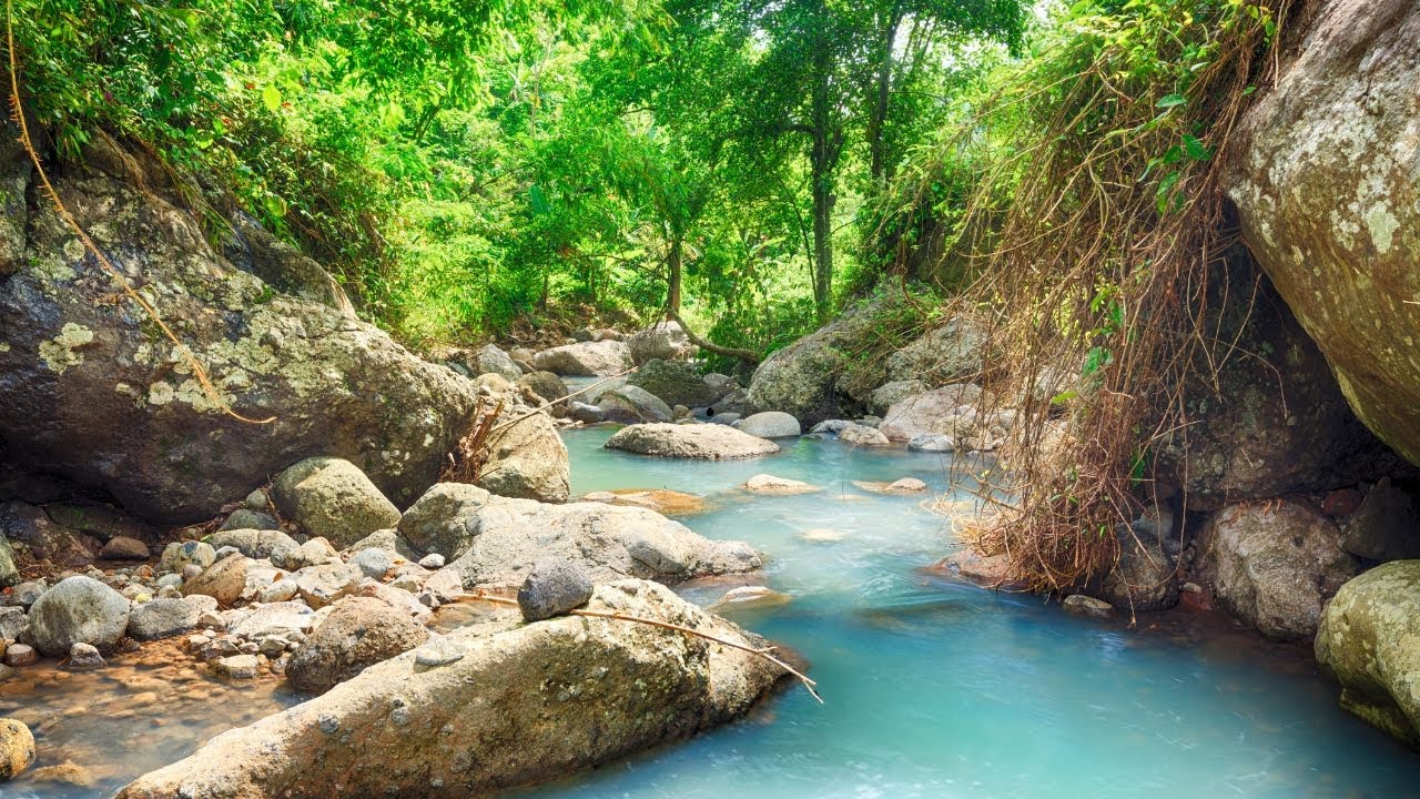 Armond Swanson Memorial Service - YouTube