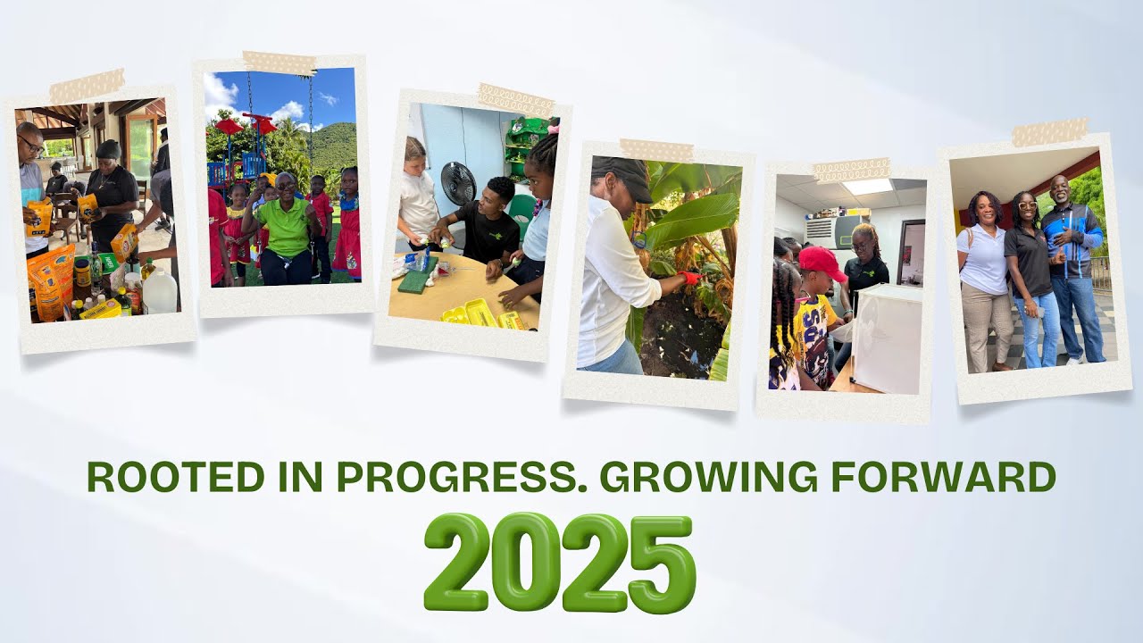 Rooted In Progress. Growing Forward - Green VI Year In Review 2025 ...