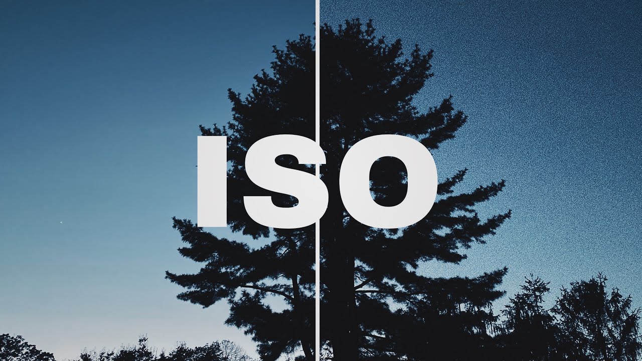 What is ISO? An explanation for beginners - YouTube