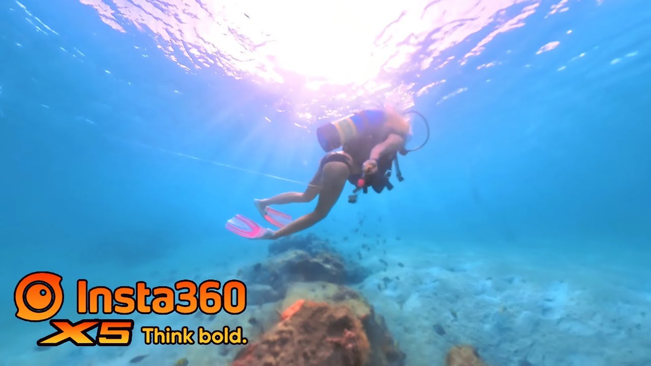 Bikini Scuba Beauty – Underwater Dive Captured on Insta360 X5 - YouTube