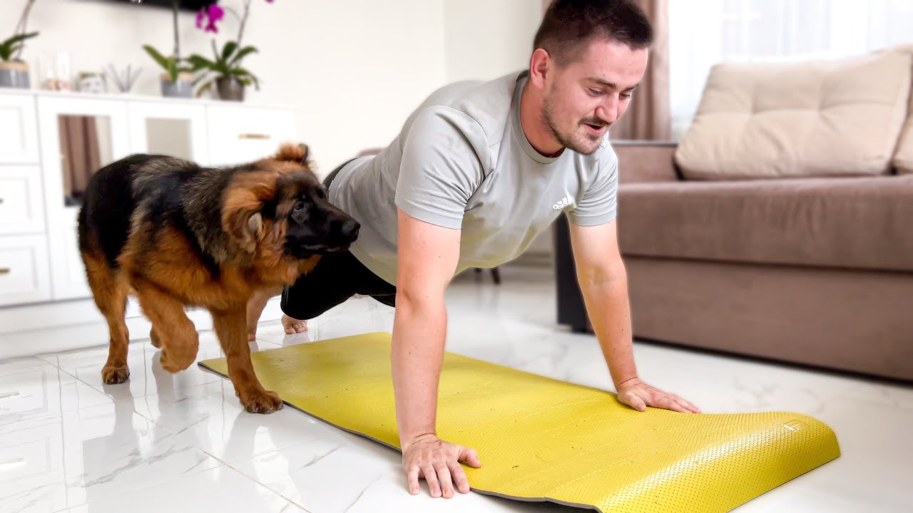 The Funniest Workout with a German Shepherd! - YouTube