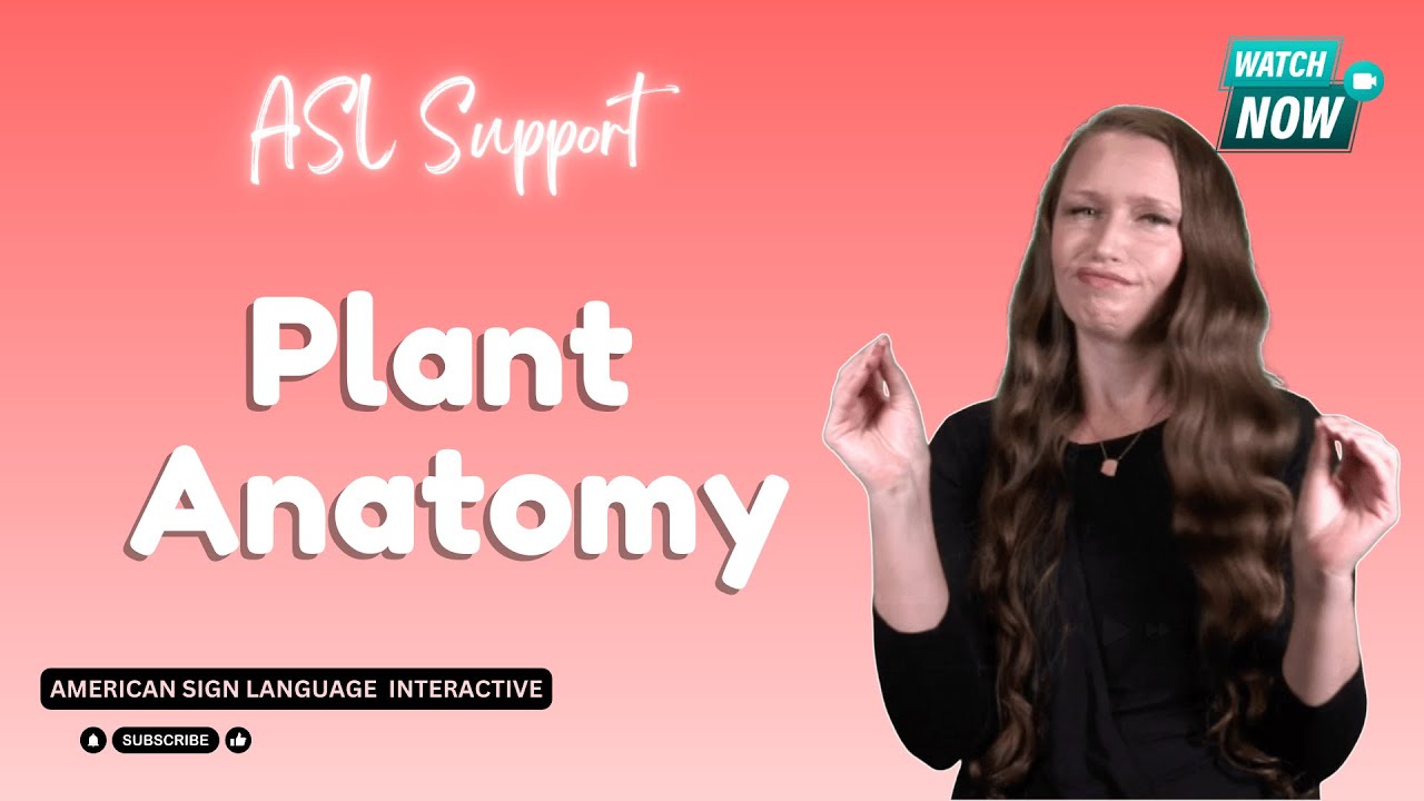 Classifiers Plant Anatomy ASL FS2U9CPAC29 - YouTube