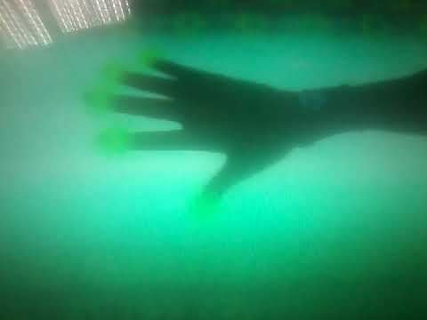 Todos los carapazon - YouTube