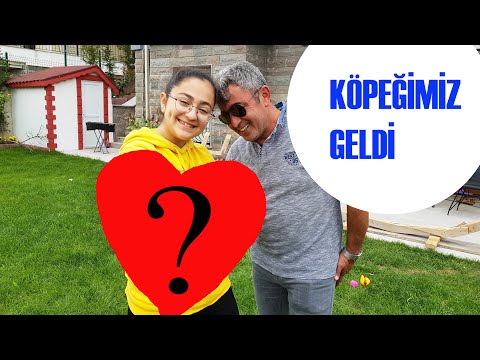 SONUNDA KÖPEĞİMİZ GELDİ / ÇOK TATLI