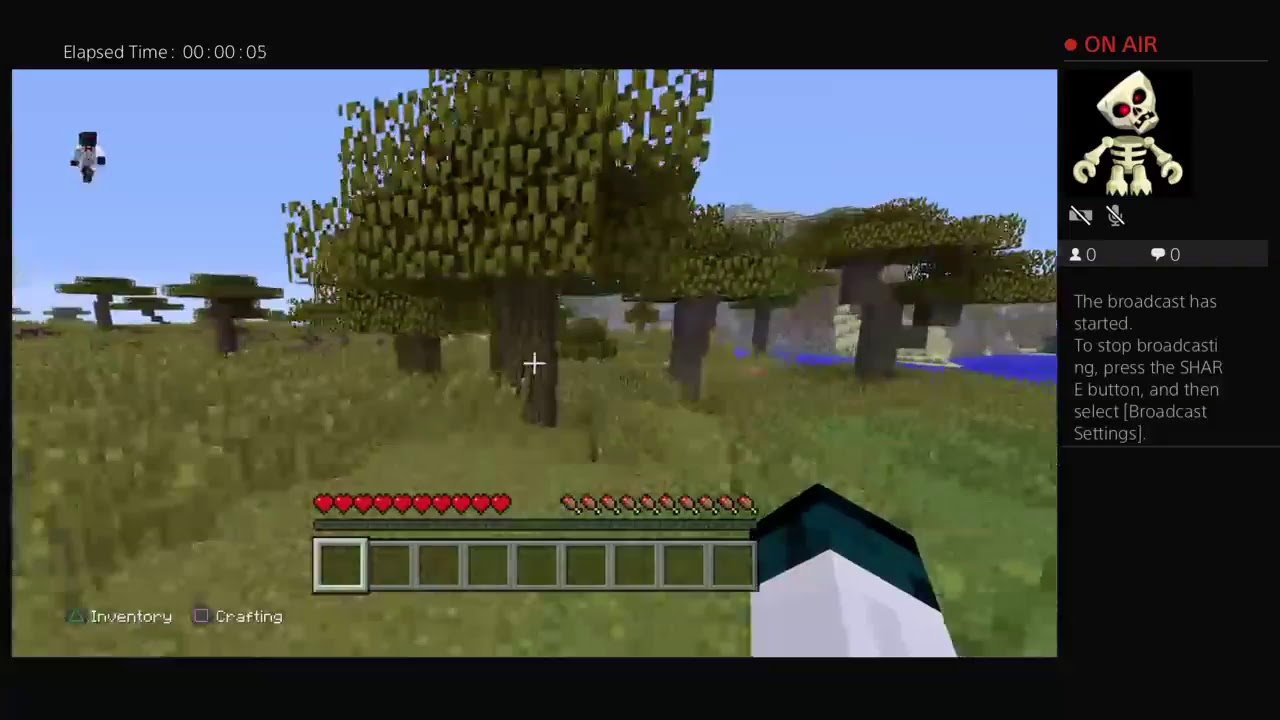 I Still Play Minecraft - YouTube