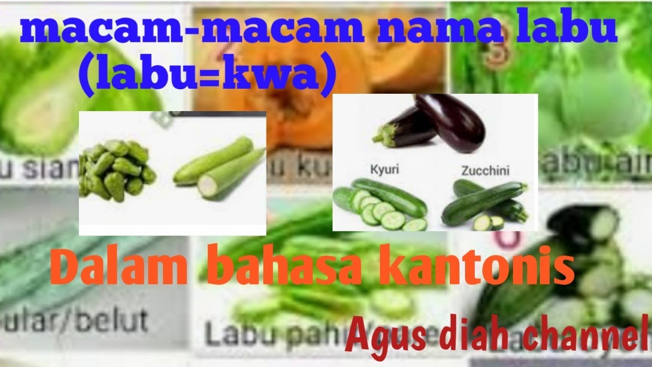 macam-macam nama labu dalam bahasa kantonis#tkwhongkong -Agus diah ...