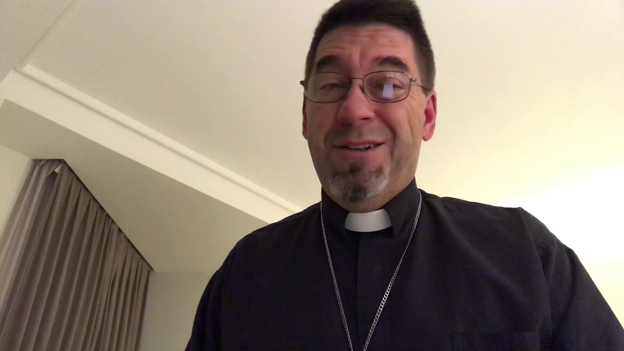 ¿Por qué el pollino? Sermón de Primer Domingo de Adviento - YouTube