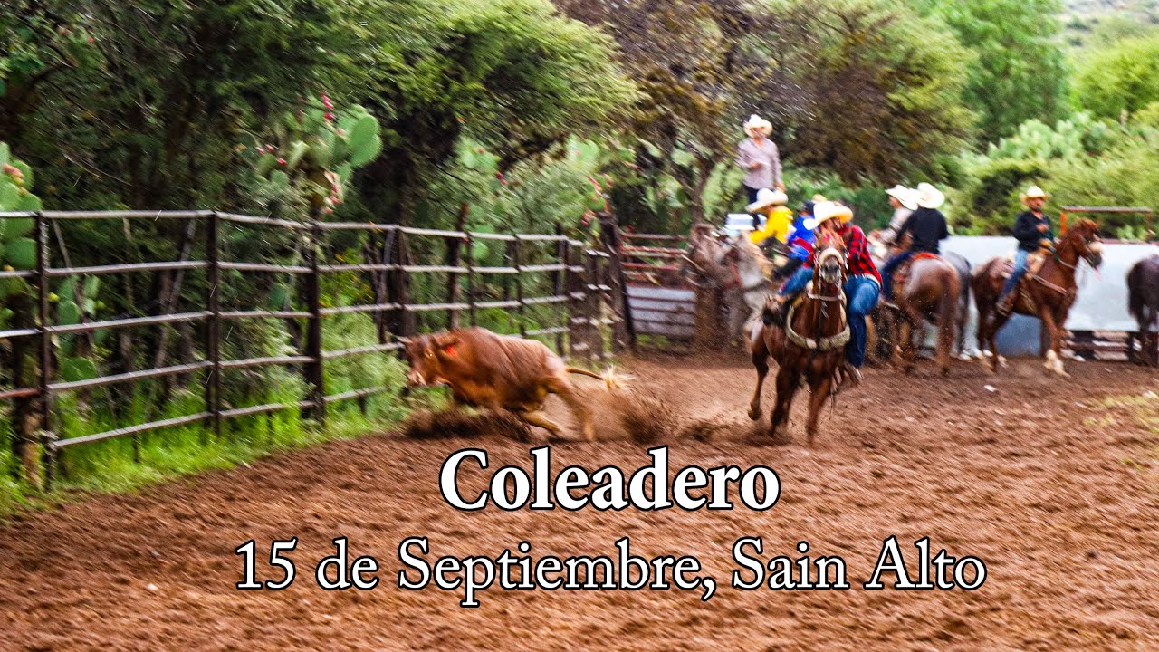 Coleadero, 15 De Septiembre, Sain Alto Zacatecas - YouTube