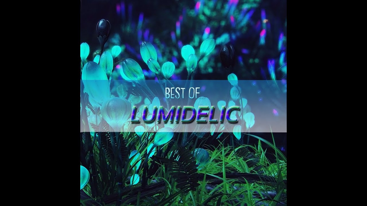 Best of Lumidelic mix by Lumidelic - YouTube