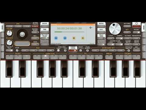 DOLYA*VORAVSKAYA korg pa 3x da 😁