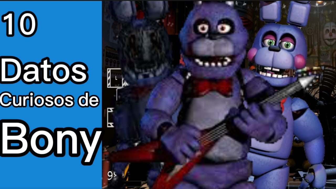 10 datos curiosos de bony - YouTube