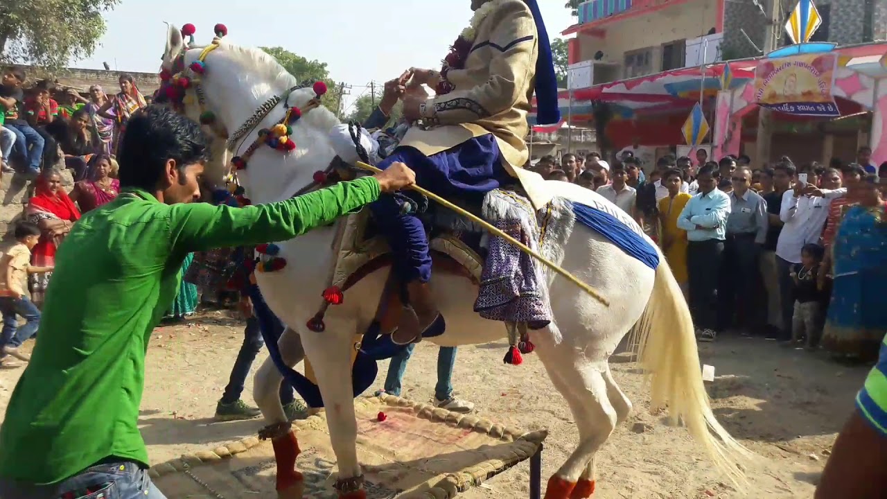 Bulbul horse dance bilamana - YouTube