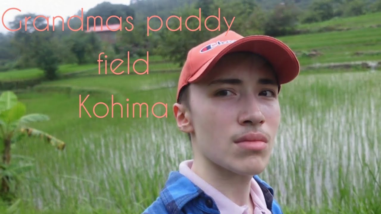 visit to grandmother's paddy field in Kohima - YouTube