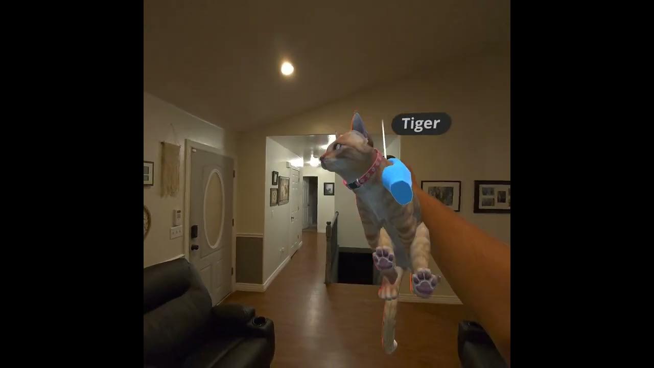 Pettables (Virtual Pet in Mixed Reality) - DevLog 8: Cats always land on their feet! - YouTube