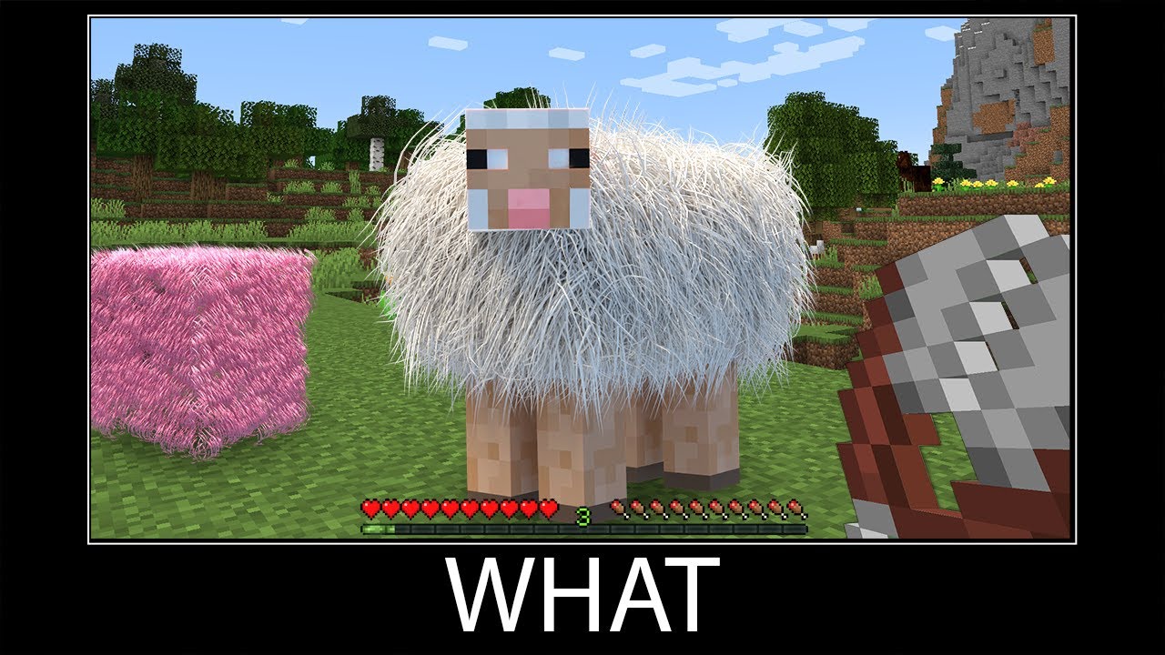 Minecraft wait what meme part 53 realistic minecraft sheep wool - YouTube