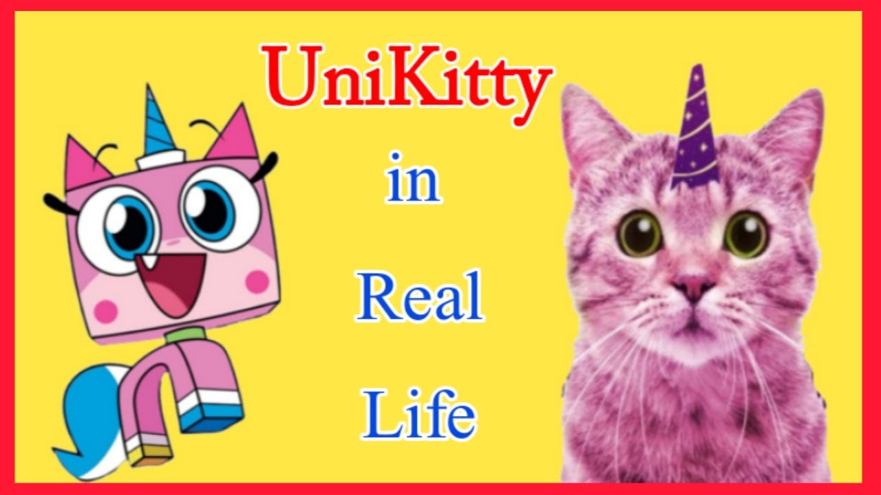 Unikitty | Unikitty characters in real life | unikitty cartoon - YouTube