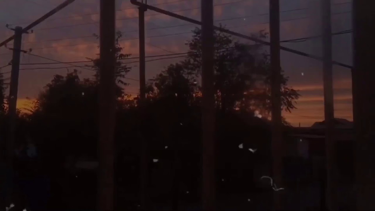 Aesthetic video🍂🍁 - YouTube