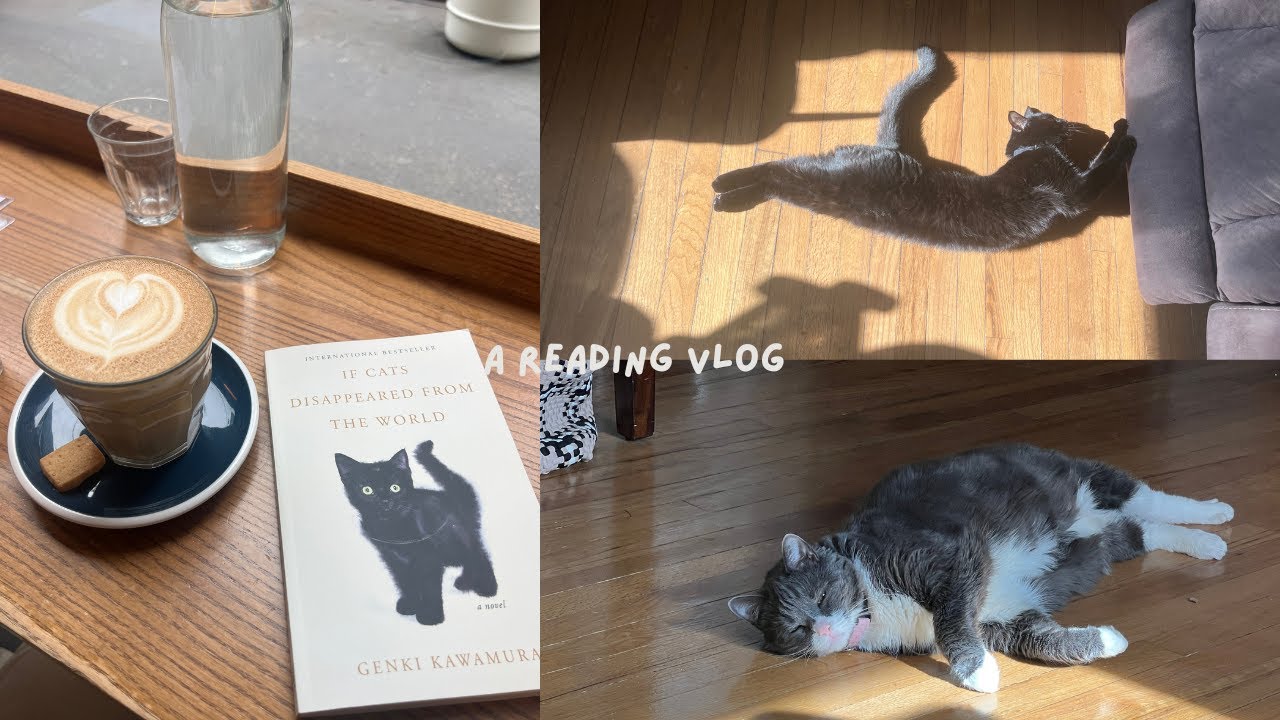 This 176 page Book Made Me Rethink Everything 🐈‍⬛📖 | Cozy Vlog: Books ...