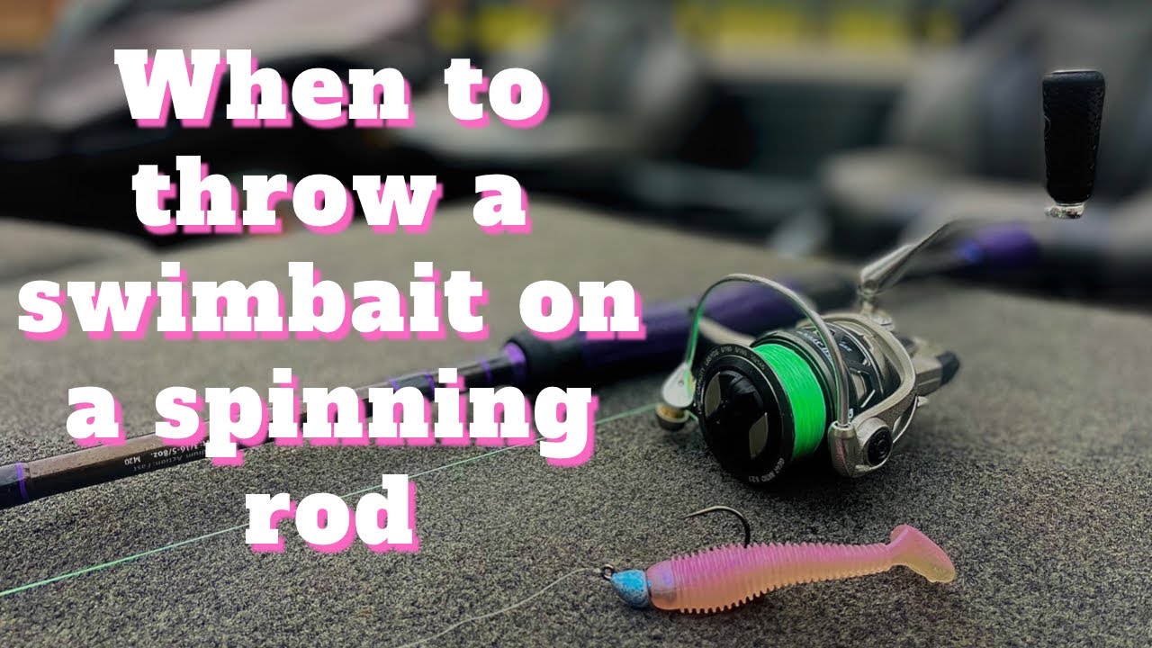 When to throw a Swimbait on a Spinning Rod (How to Rig a Swimbait ...