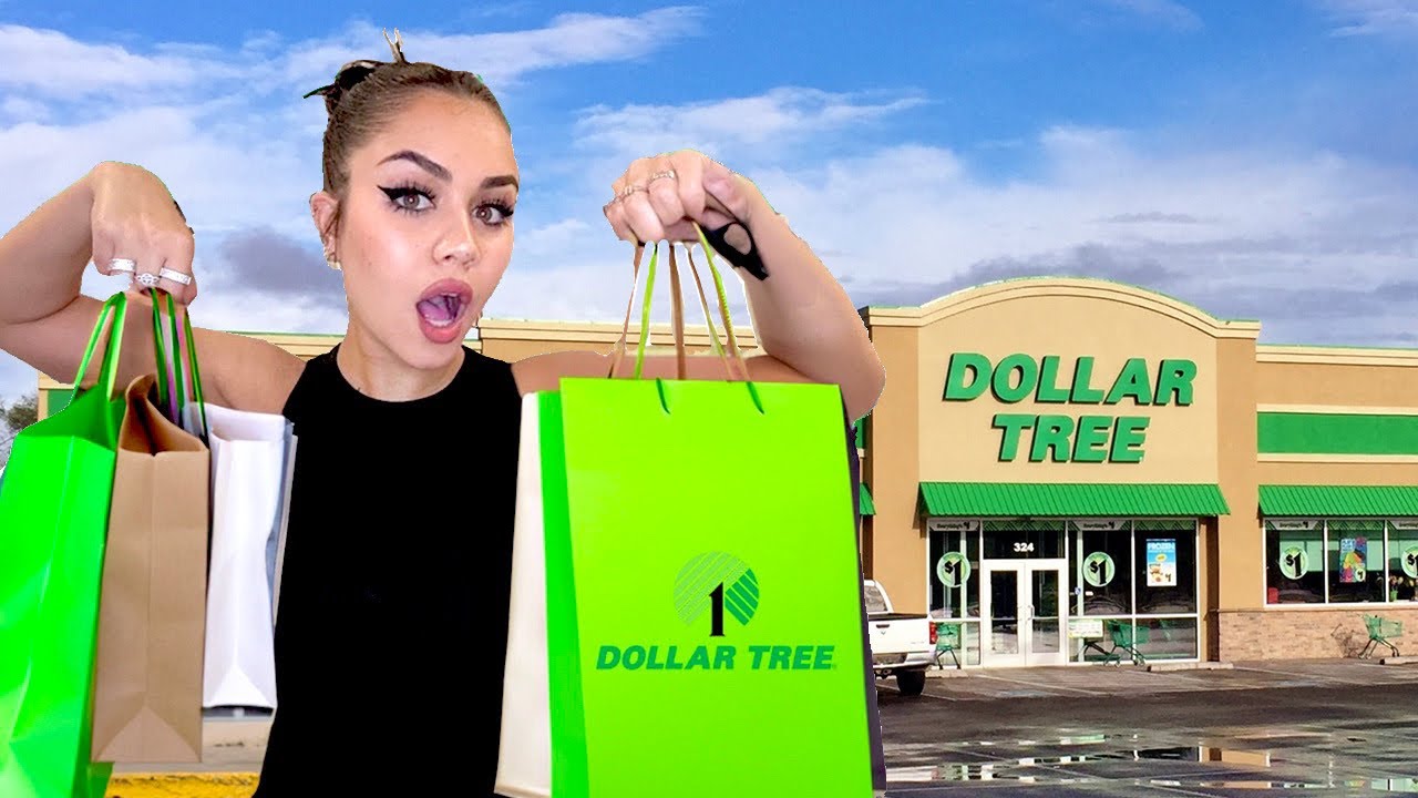 Dollar Tree Shopping SPREE + haul - YouTube
