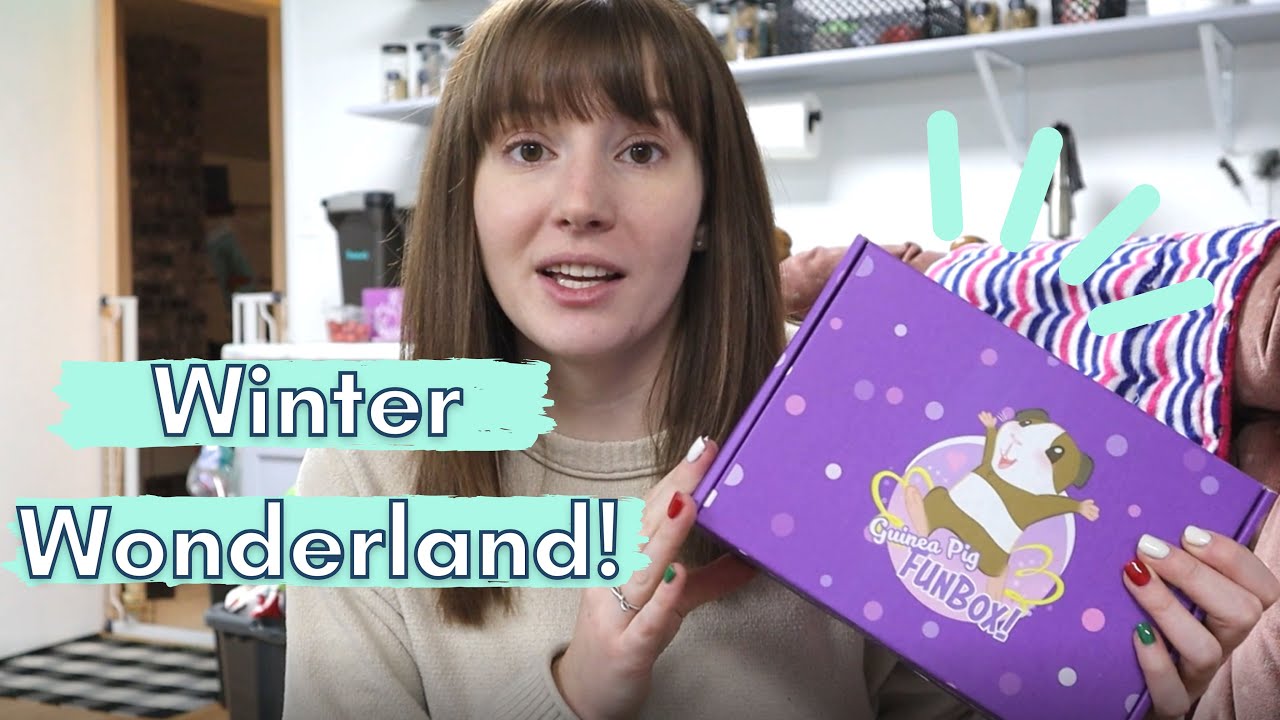 Winter Wonderland Guinea Pig Fun Box UNBOXING! - YouTube