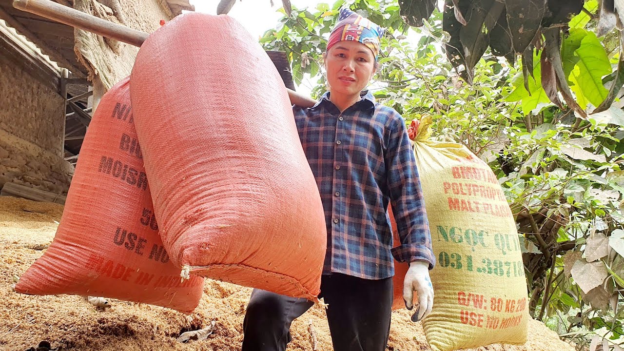 Take care of the melon garden - ask for rice husks. duck house cushion ...