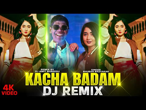 Kacha Badam Dj Remix - Badam Badam Dada Kacha Badam Dj Remix Song | Kacha Badam Viral Song 2022