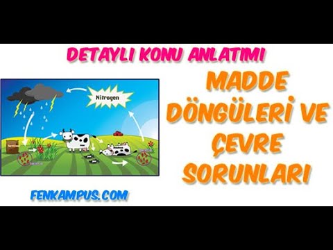 8.6.3. Madde Döngüleri ve Çevre Sorunları