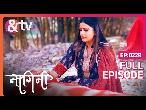 Kon जंगल में पैर Rakhne वाली Hai ?| Nagini | Full Ep 229|31 Dec 23|Shivani | @andtvchannel