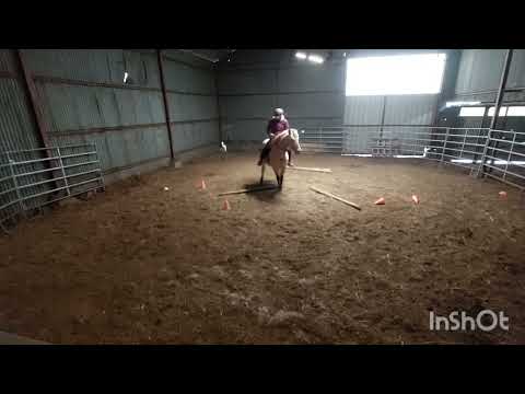 Laura et Vanille - Montée 2 - Manche 1